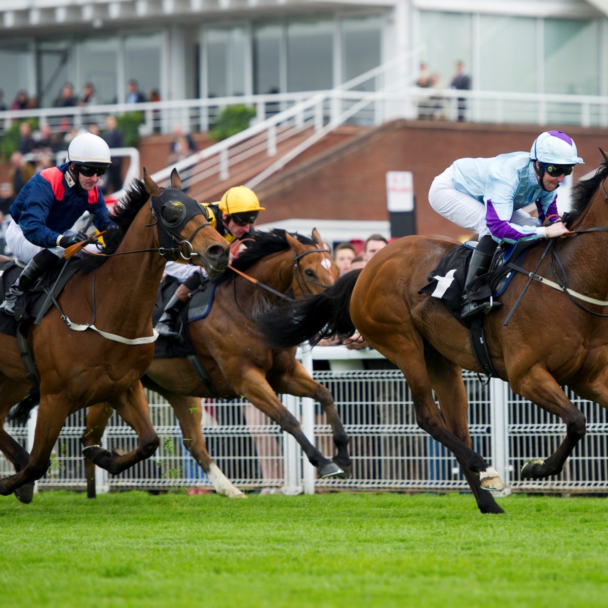 hum - George Baker Racing